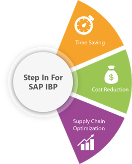Preconfigured SAP IBP solutions - Step In by DOWAP